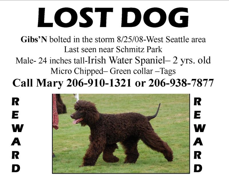 Lost Dog Alert Have You Seen Gibs N he s Found 